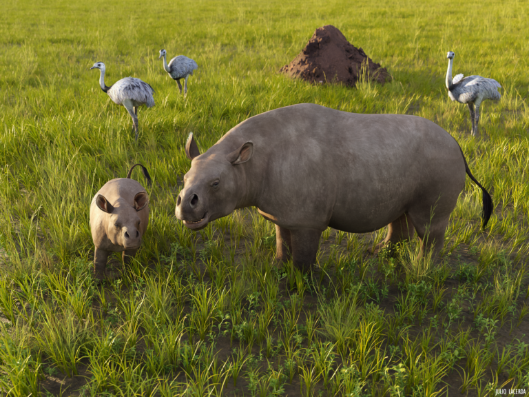 La Venezuela prehistórica revela más de sus secretos