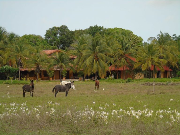 El ecoturismo puede conservar la diversidad de nuestros llanos